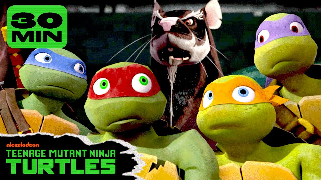 30 MINUTES of Splinter Teaching the Ninja Turtles LIFE Lessons! 🐀 ...