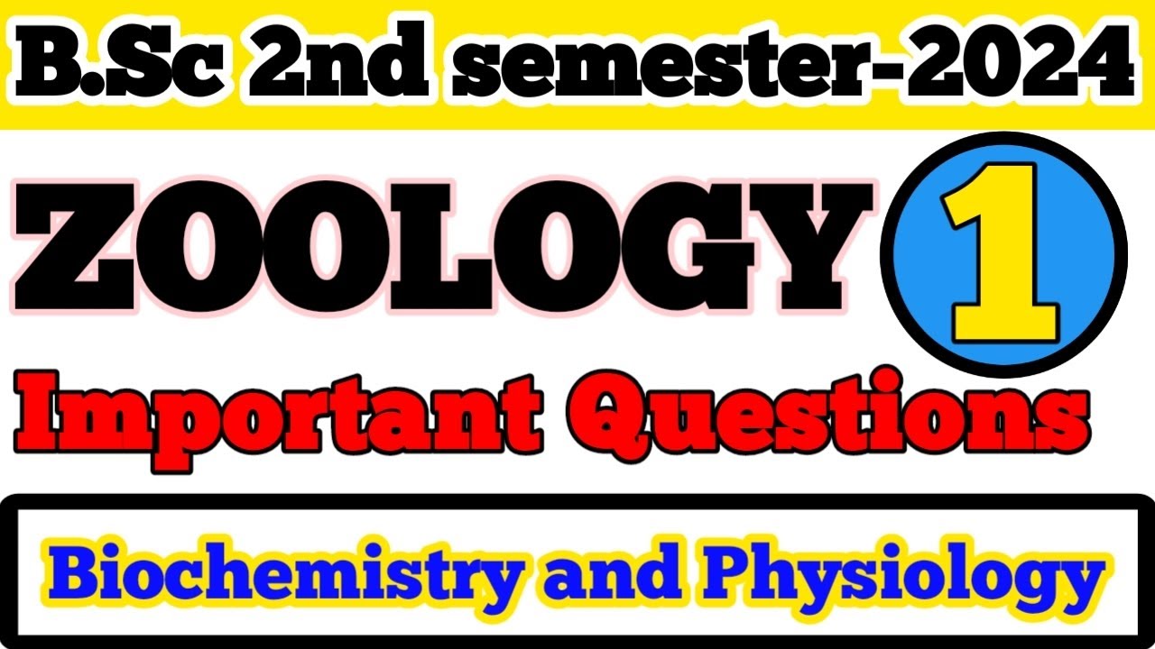 bsc 2nd semester zoology important questions || bsc 2nd semester ...