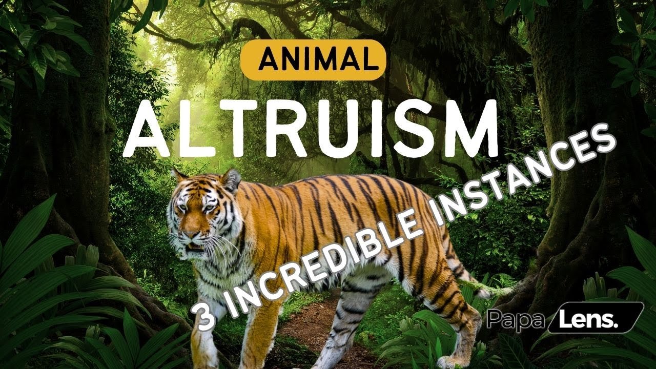 3 Incredible Instances of Animal Altruism #AnimalHeroes # ...