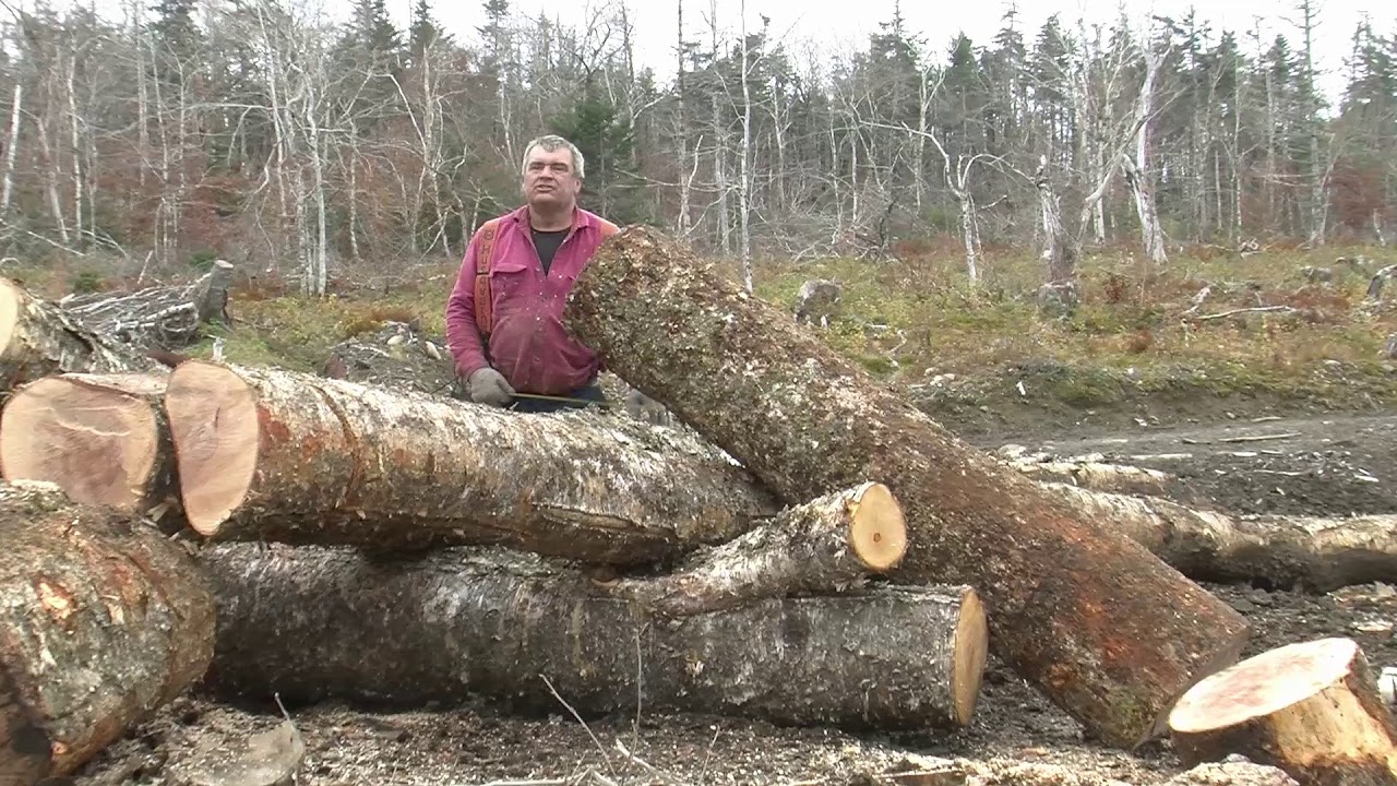 Burning Gold Episode 3 - YouTube