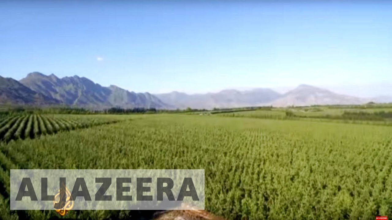 earthrise - Food: Farming for the Future - earthrise - YouTube