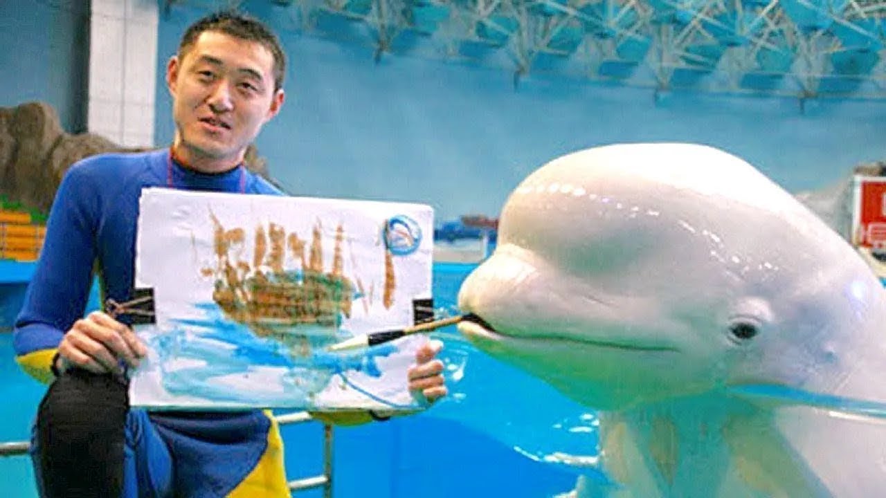 Smartest Sea Creatures That Will Blow Your Mind - YouTube
