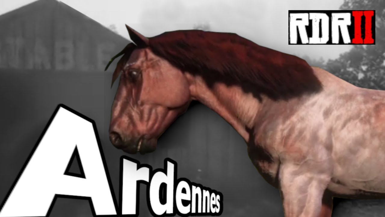 RDR2 ARDENNES HORSE | Location, Coats, Stats, & More - YouTube