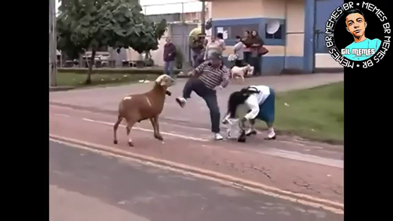 TÔ TE FALANDO - MEMES TV - YouTube