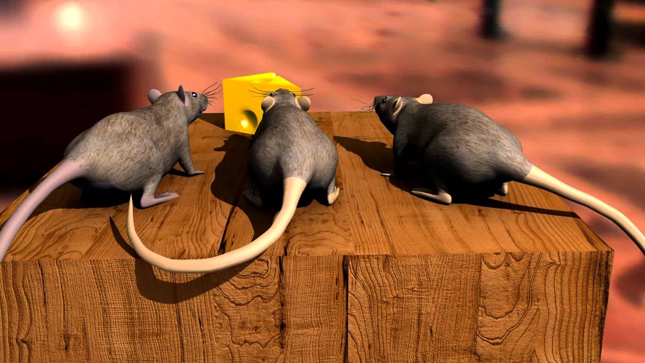 Blender 3d + Rats + Cheese - YouTube