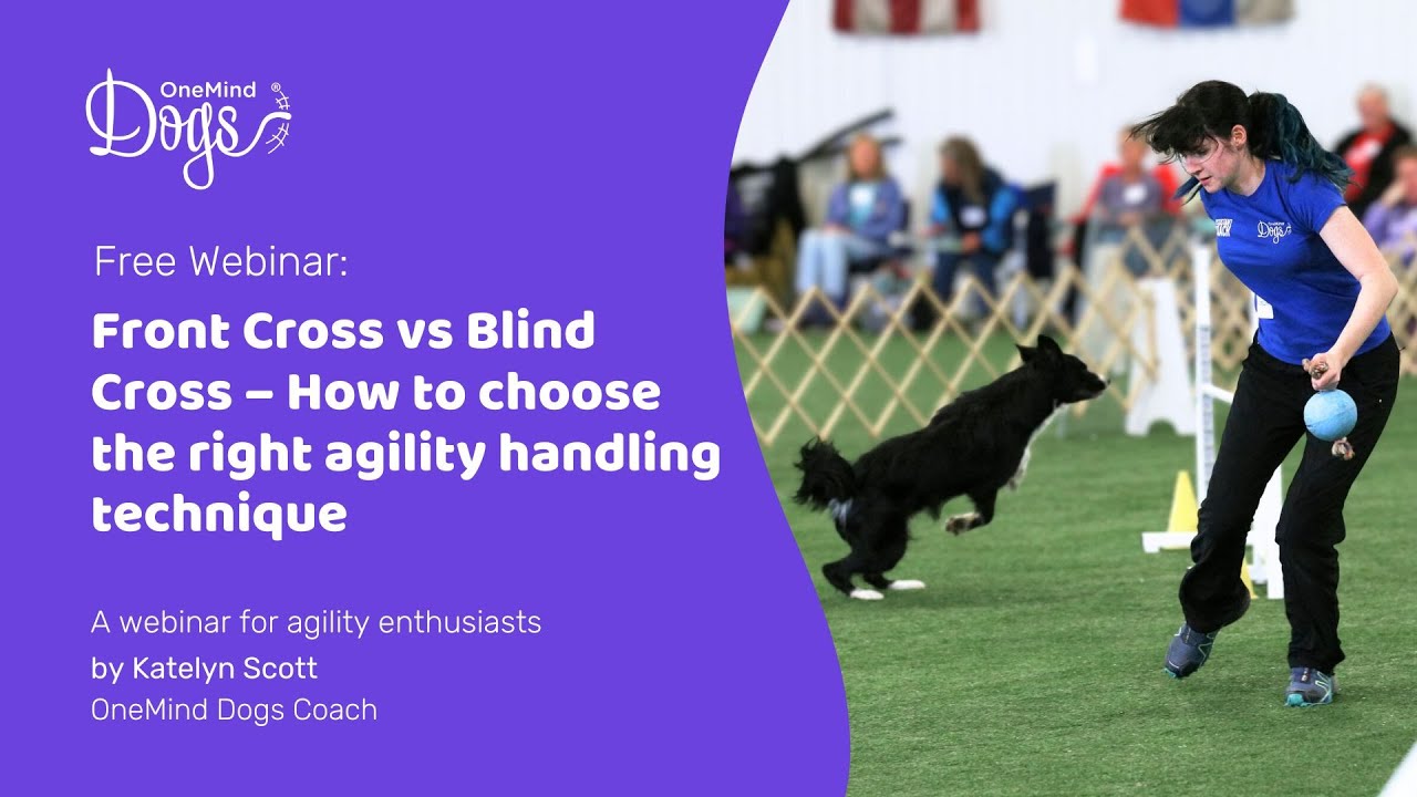 FREE Webinar: Front cross vs Blind cross: how to choose the right ...