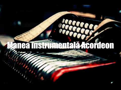 Manea instrumentală acordeon