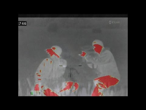 Night Vision and Thermal Predator Hunting with Predator Revenge ...