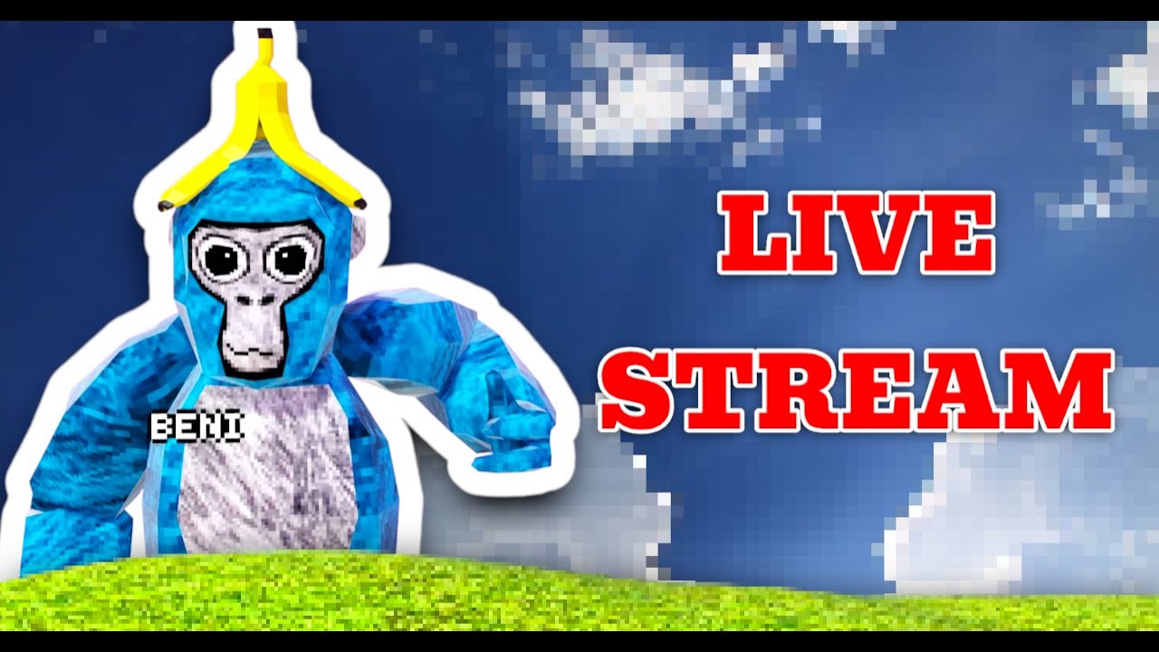 GTAG LIVE WITH VIEWERS - YouTube