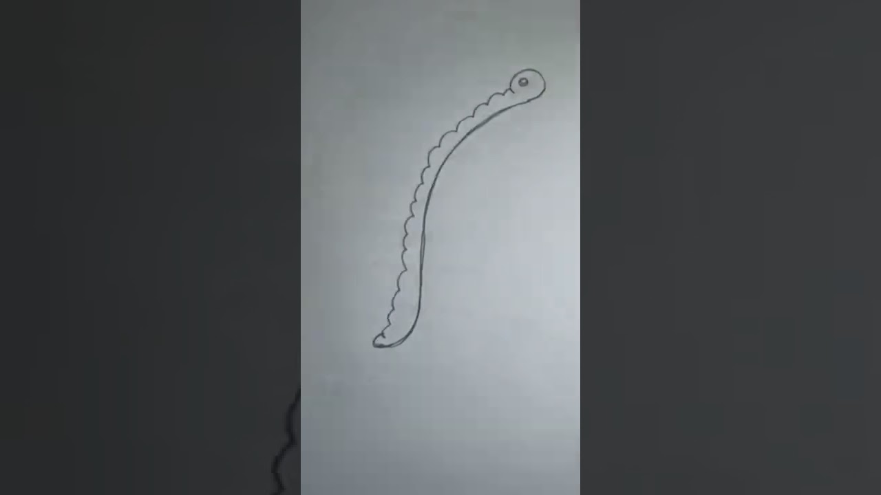 how to draw gummy worms - YouTube