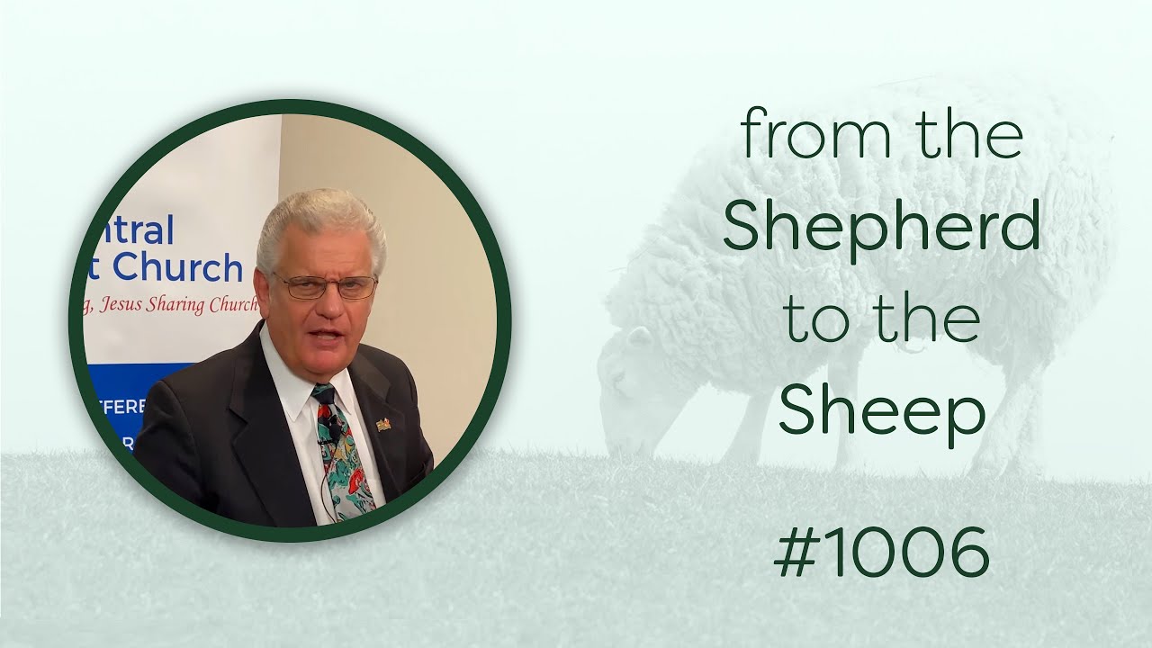 From the Shepherd to the Sheep - #1006 - CBC - YouTube