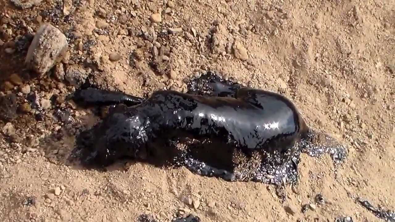 Opiniones de Alquitrán