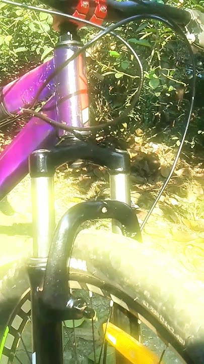 MTB lovers #mtblovers#love #trandingshorts #cycle - YouTube