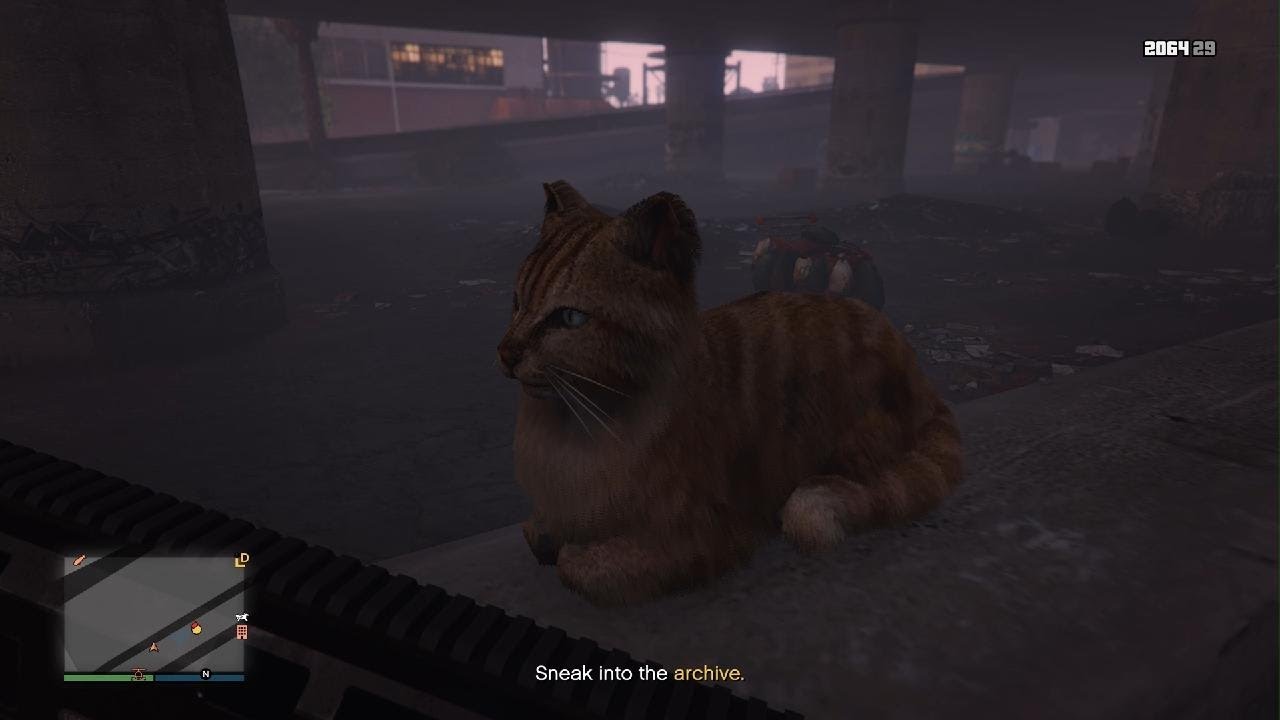 Kitty Cat - GTA V - YouTube
