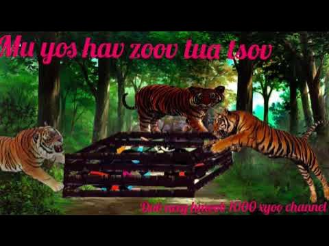 mu yos hav zoov tua tsov loj txaus ntshai hv li - YouTube