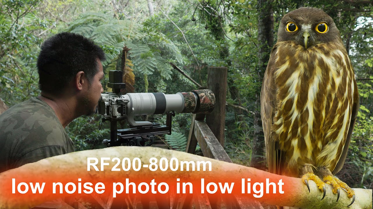 How to get low noise photo in low light with the RF200-800mm - YouTube