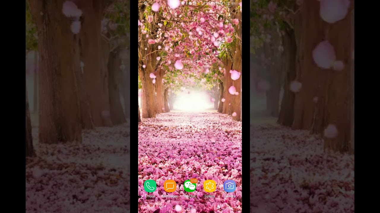 Sakura LIve Wallpaper - YouTube
