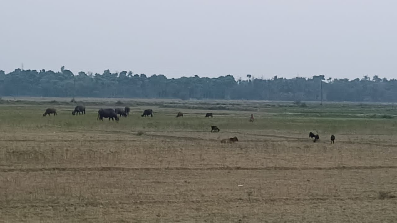 sundor bon tour 🥀😱 bike trip - YouTube