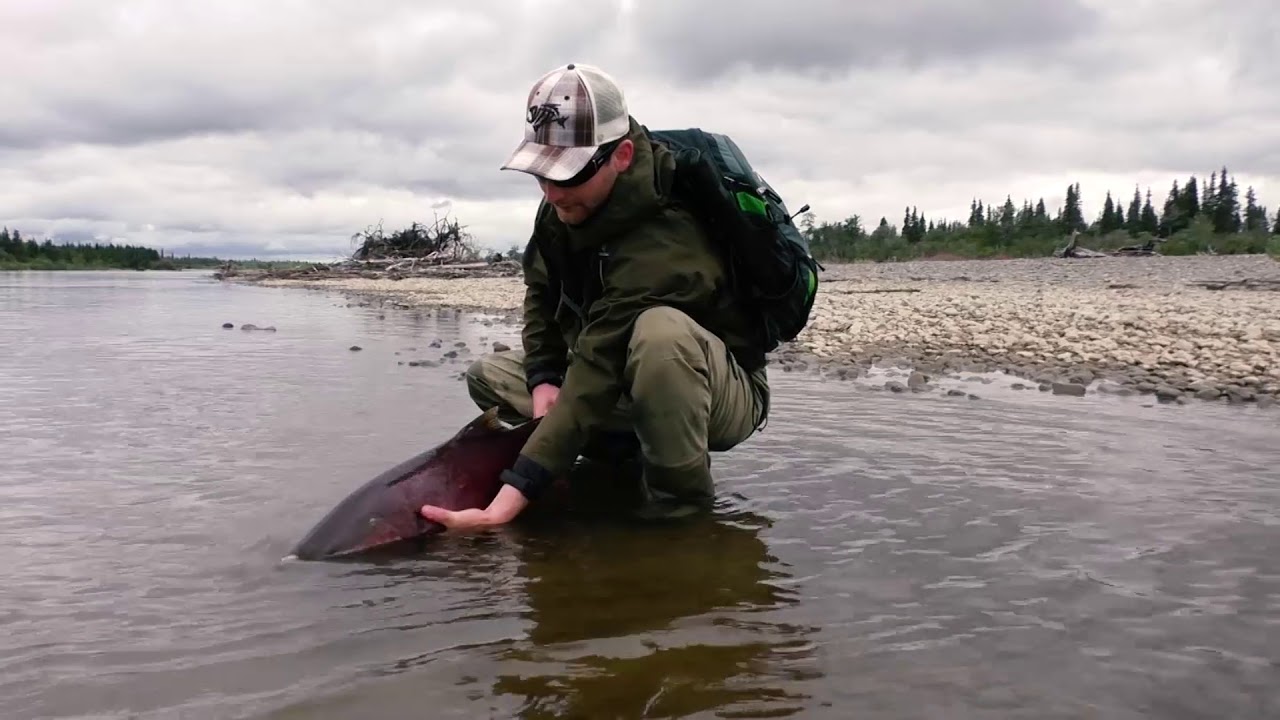 Pêche en Alaska - YouTube
