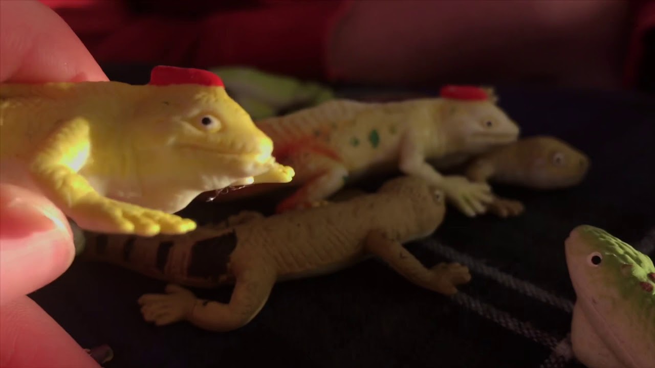 The Toyer: Frogs vs. Lizards - YouTube
