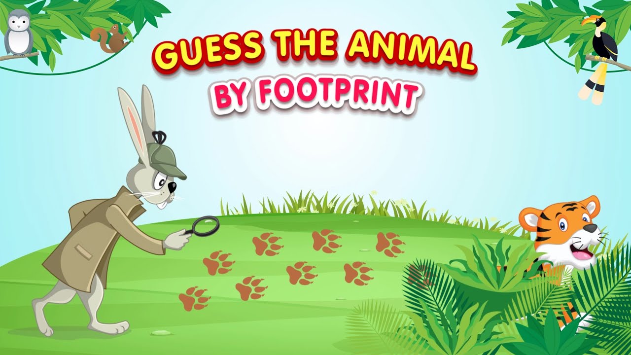 Animal Detective: Guess the Animal by Its Footprint? - YouTube