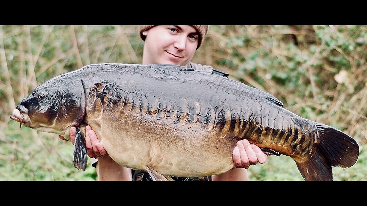 BIG HIT, BIG CARP FISHING! - YouTube