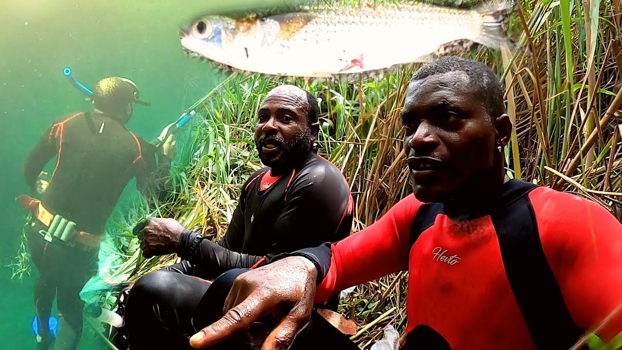 short man He's back in the crocodile infested water - YouTube