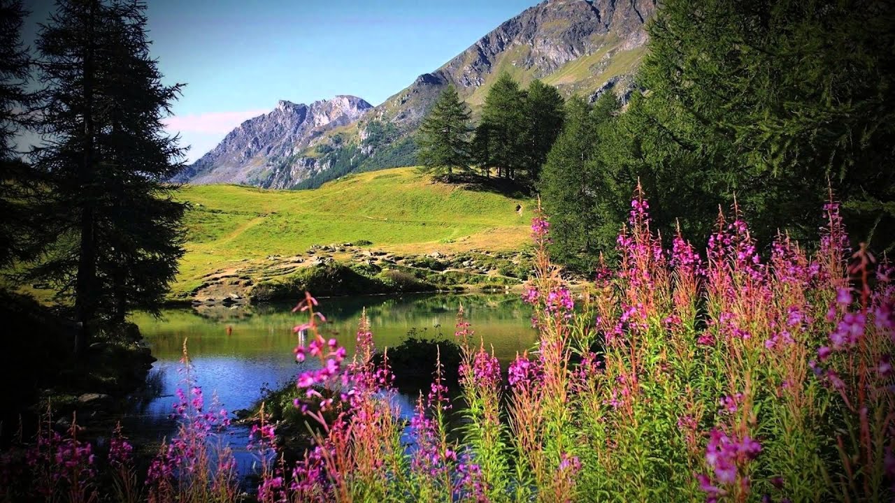 Аляска - весна - YouTube