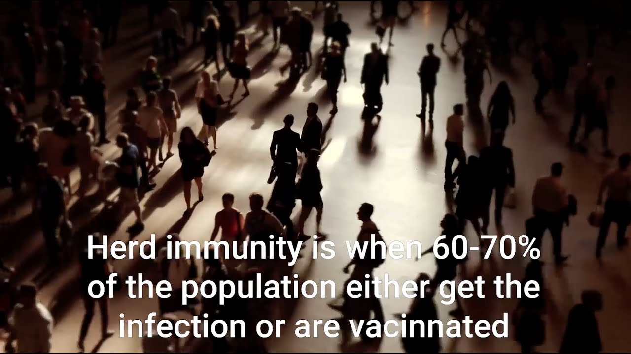 How does herd immunity work? | The Check Up - YouTube