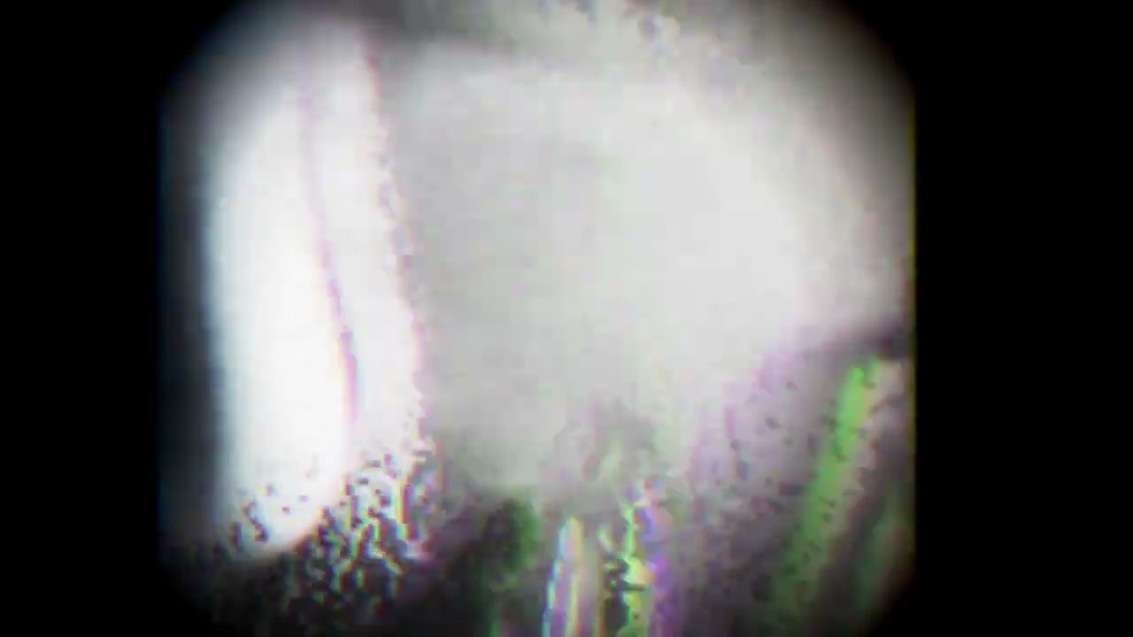 EATEOT Stage 5 First Clarity Visualized - YouTube