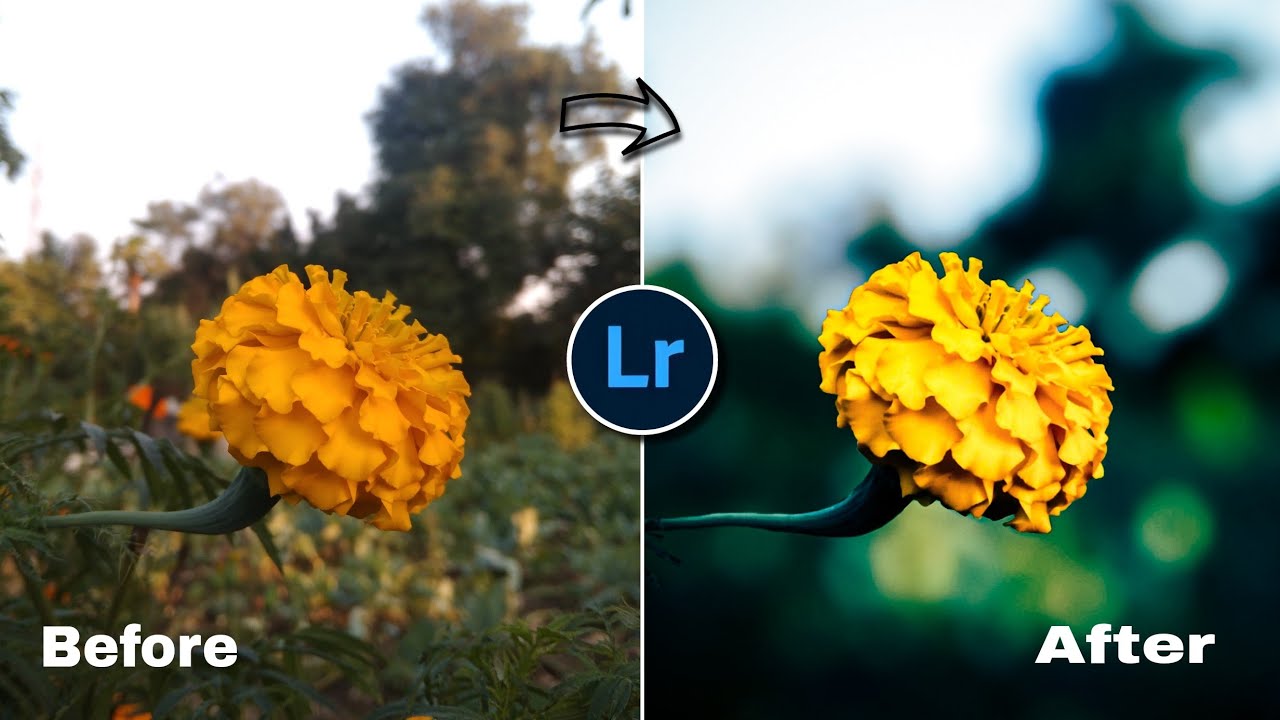 Lightroom photo editing tutorial beautiful flower editing - YouTube