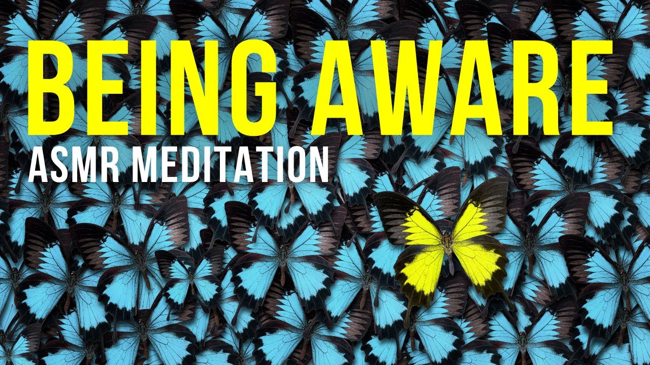 Mindfulness for Beginners: How To Be Aware and Present Amidst Chaos ...