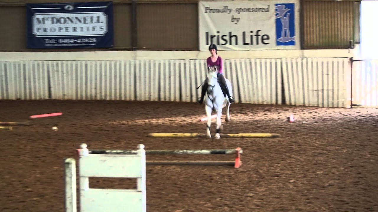 Peter O'Toole SJ Clinic - Cavaletti to Square Oxer - YouTube