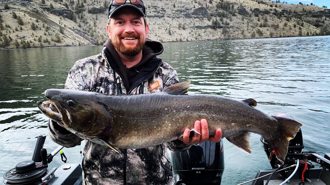 Trolling for BIG Bull Trout with Lyman Lures. (Lake billy chinook ...