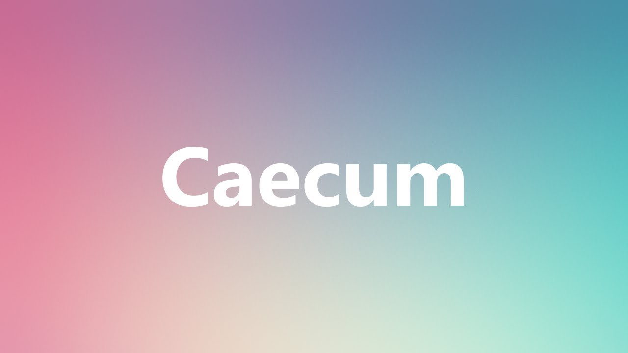 Caecum - Medical Meaning and Pronunciation - YouTube