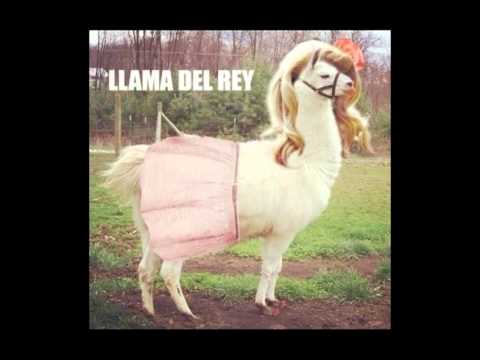 Llama Del Rey Tumblr