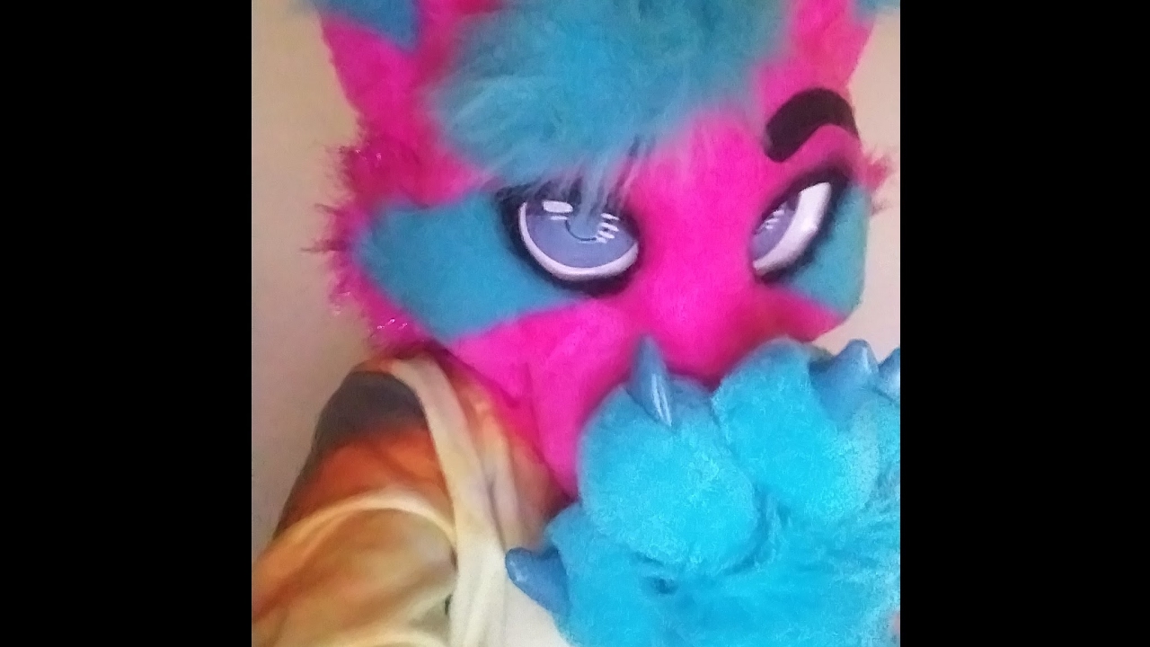 Furry - Live Q&A Part 2 - YouTube