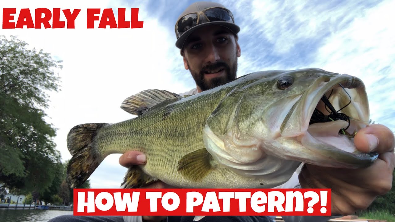 HOW to PATTERN early FALL Largemouth Bass - YouTube