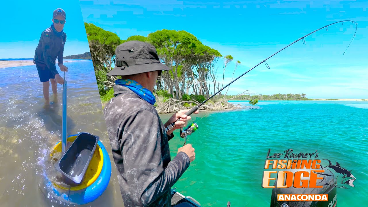 Estuary Fishing Madness - Get The Right Bait And The Fishing Is Awesome - YouTube