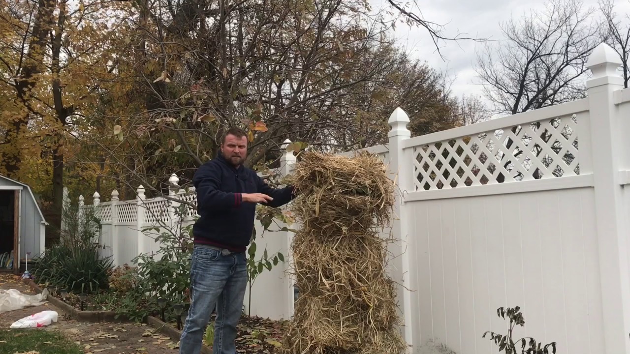 Covering the fig trees - YouTube