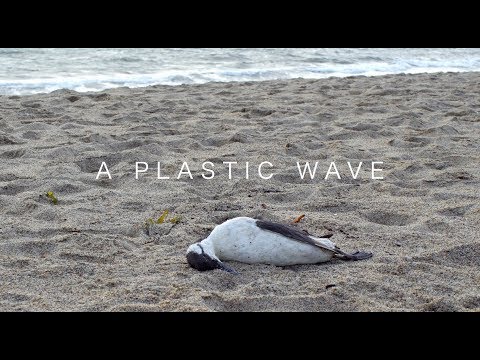 A Plastic Wave || A Short Documentary About Our Plastic Crisis || - YouTube
