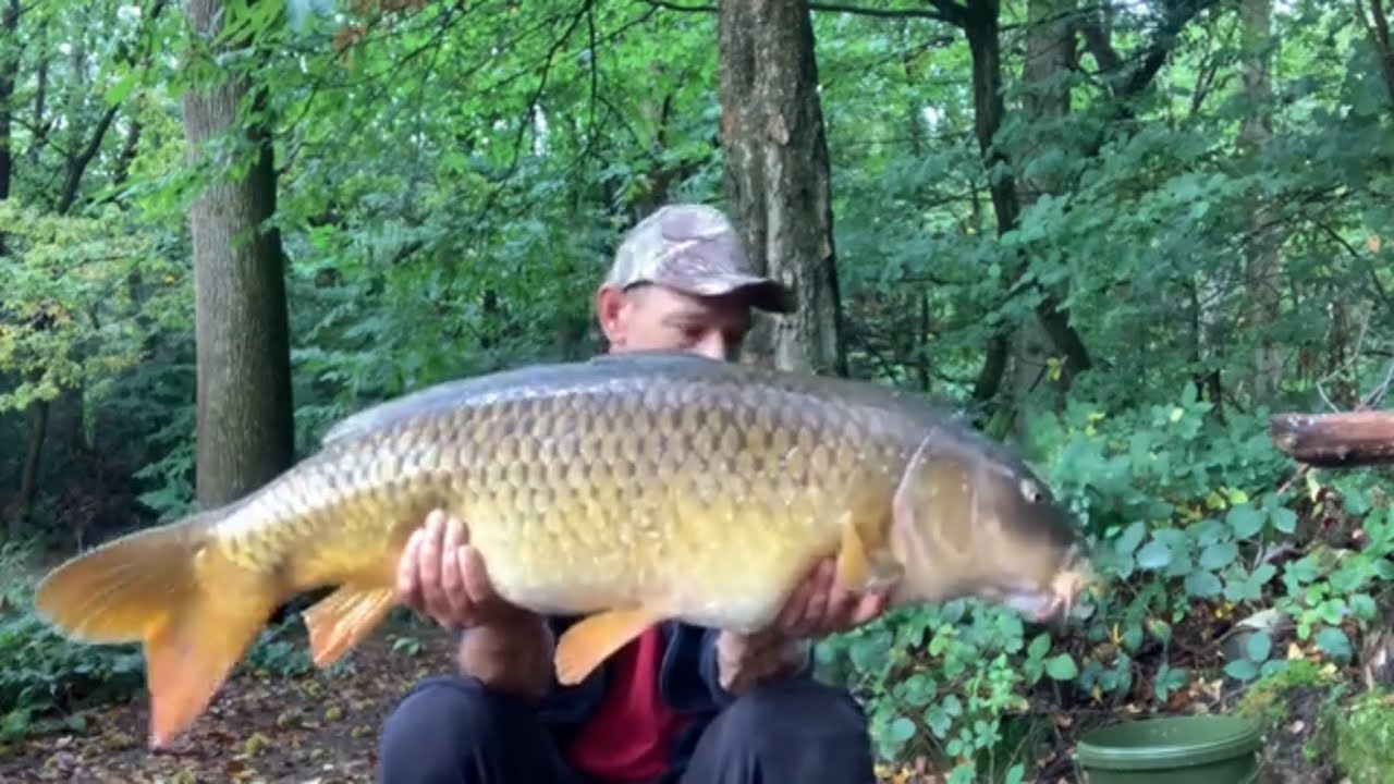 UK Carp Diaries 06. 31lb common & friends - YouTube
