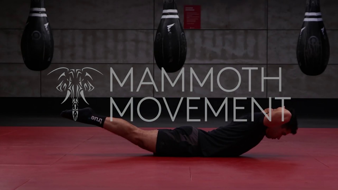 Arch Body LEVEL 1 (Hold) - YouTube