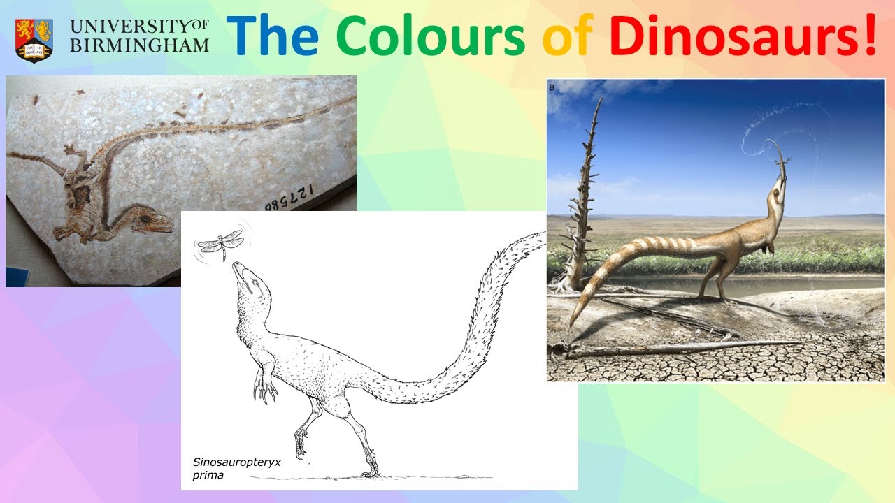 The Colours of Dinosaurs - YouTube