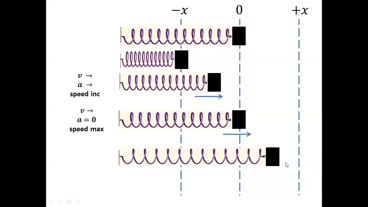 Simple Harmonic Motion 1 (The changes in the velocity and acceleration ...