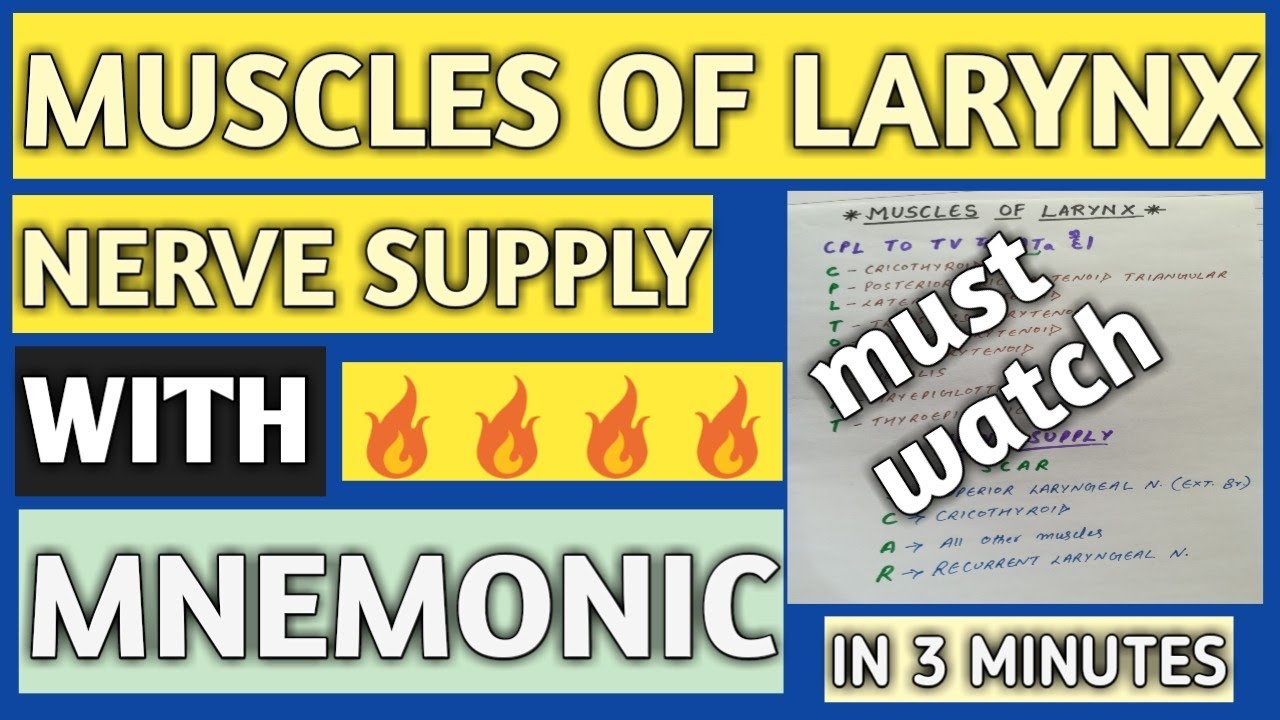 Muscles Of Larynx Mnemonic