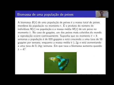 Derivadas - Aula 3 - Regra do Produto e regra do quociente. - YouTube