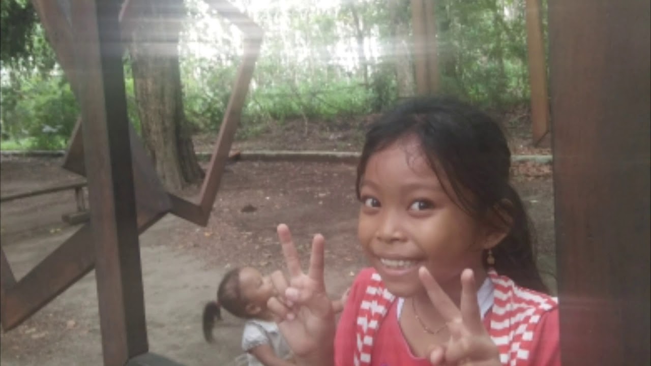 Kesambi Trees Park Maliran Blitar (Alas Maliran) - YouTube