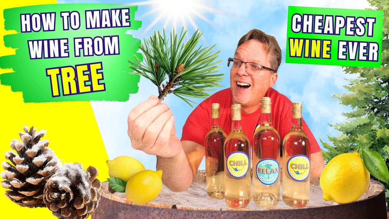 Wine From a Tree - Turn Pine Needles into Amazing Wine Step by Step ...
