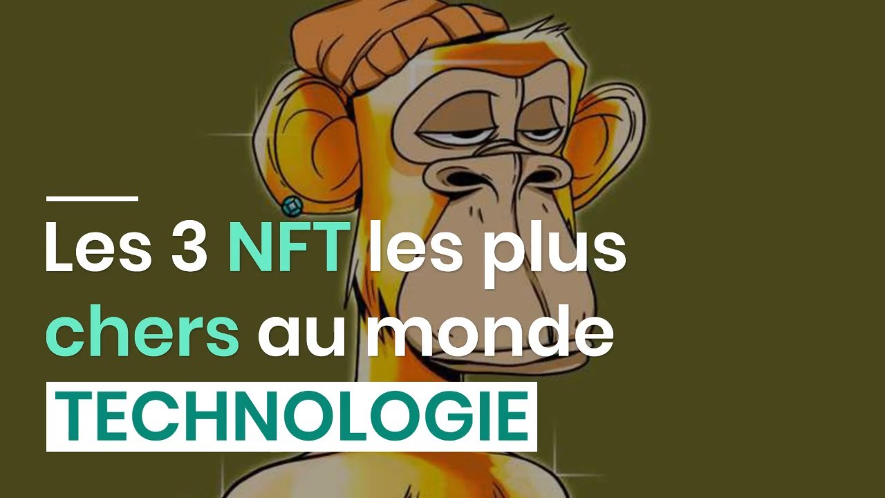 Les 3 NFT les plus chers au monde - YouTube